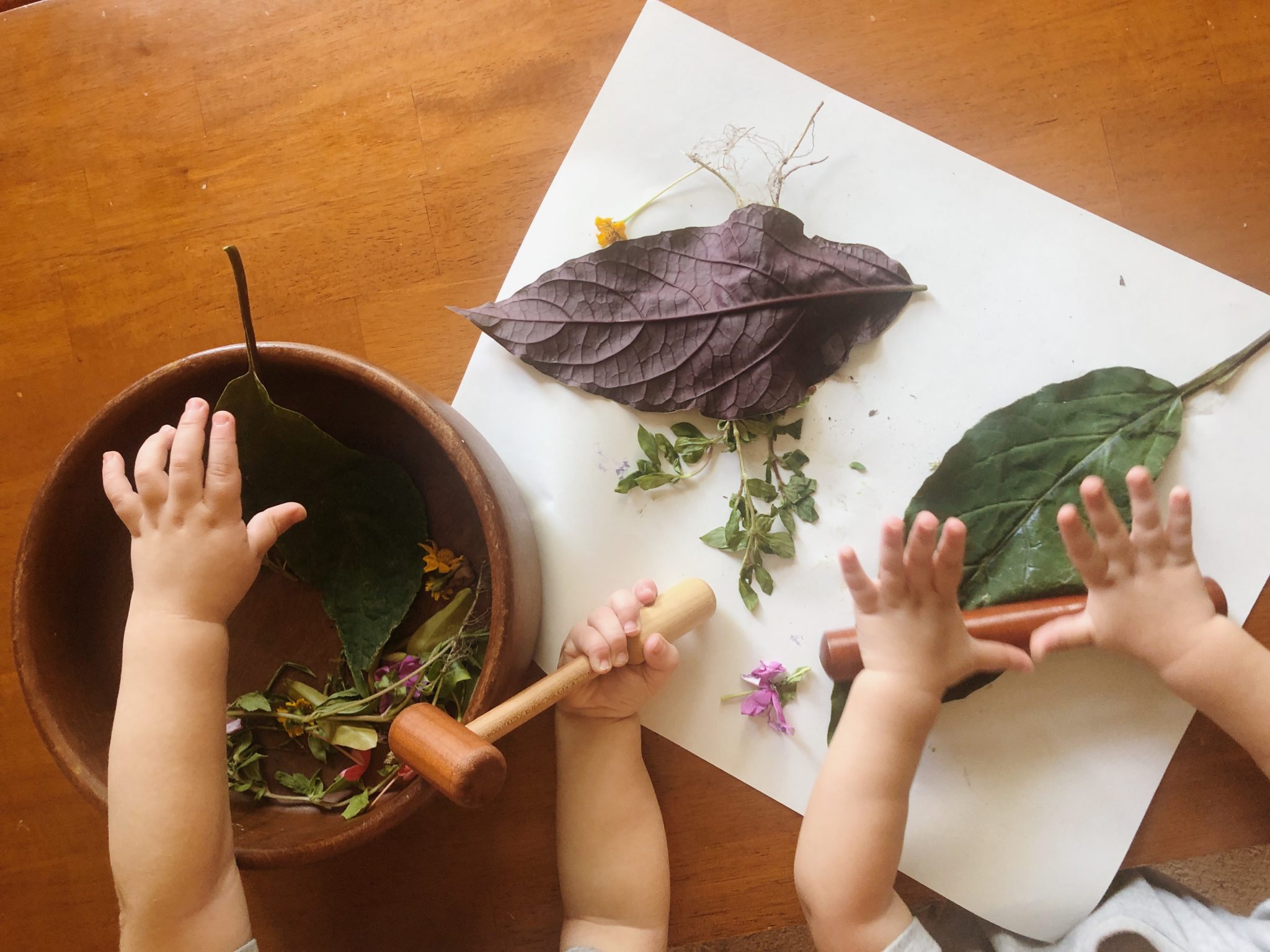 Nature Prints with Kids – Acorn to Oak