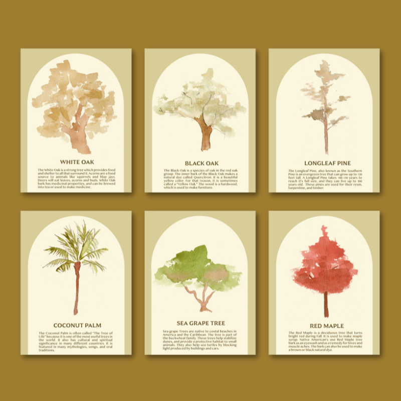 North American Trees Leaf Identification